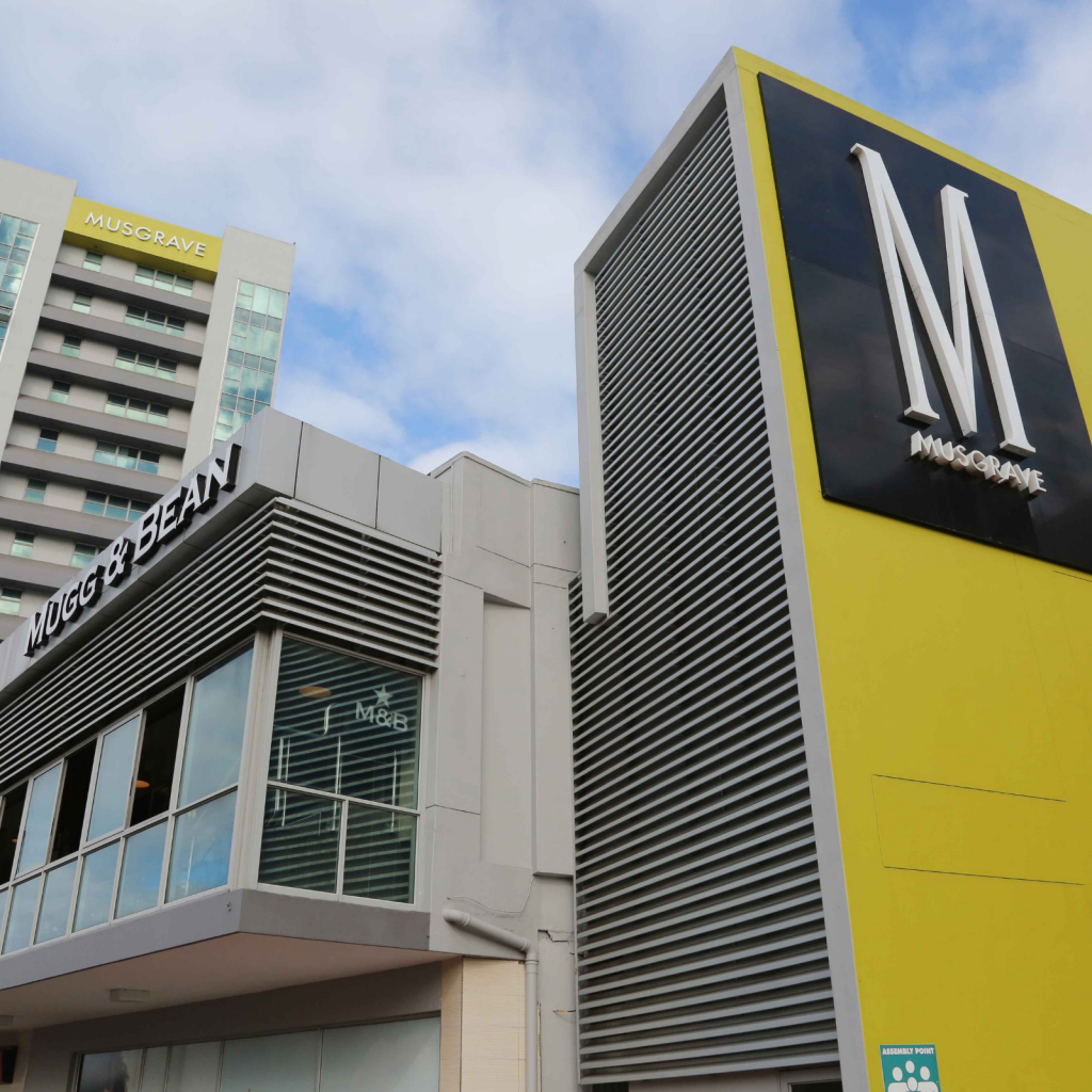 Our Portfolio – Transcendence